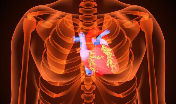 Nieuwe biologische hartklep is veelbelovend voor actieve vijftigers en ...