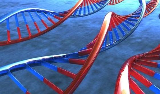 Nieuwe genen ontdekt die rol spelen bij ernstige vormen van epilepsie ...