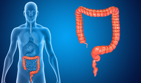 Video: Wat is dikkedarmkanker? | gezondheid.be