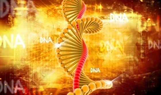 Roken verandert genen | gezondheid.be