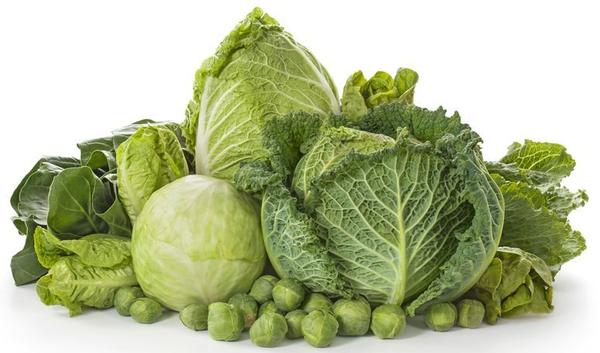 Waarom zijn kolen gezonde winterkost? | gezondheid.be