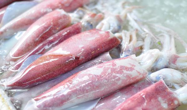 Wat is het verschil tussen pijlinktvis, zeekat en octopus? | gezondheid.be