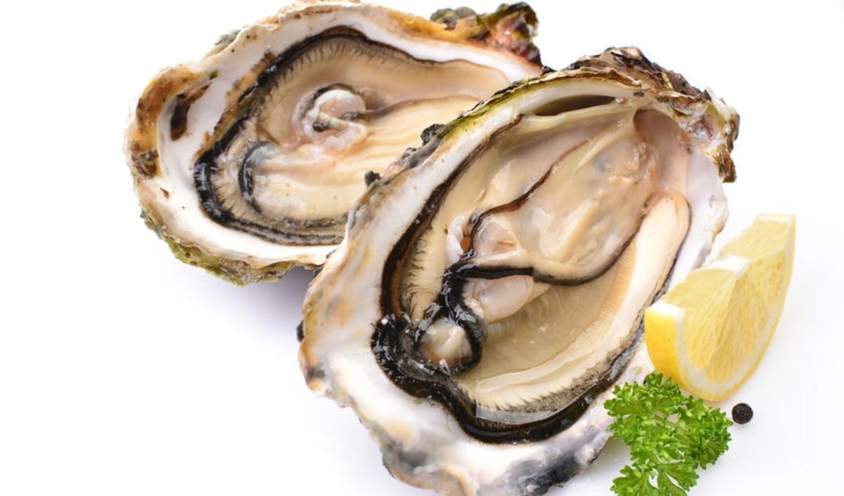 Oesters: wat betekenen de nullen of cijfers op de verpakking ...