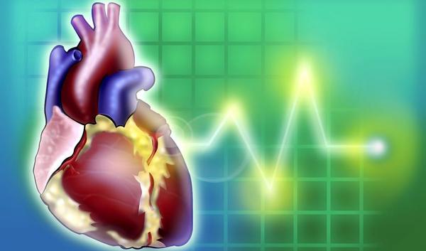 Hoe kan je zelf je hartslag meten? | gezondheid.be