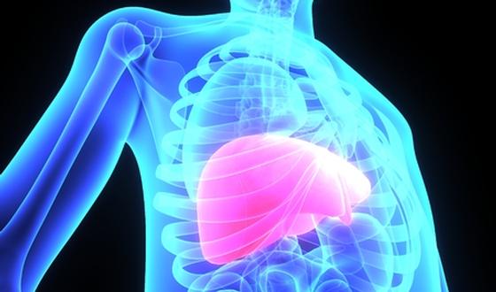 Nieuwe methodes om leverontsteking vast te stellen en te behandelen ...