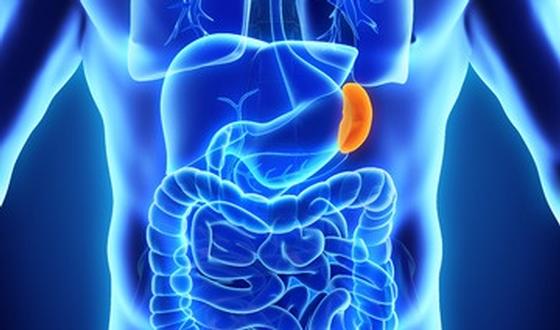 Een gescheurde milt (miltruptuur): een spoedgeval | gezondheid.be