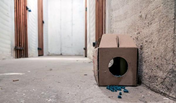 Meer vergiftigingen met ratten- en muizengif op basis van alfa ...