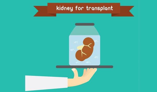 Recordaantal registraties als orgaandonor | gezondheid.be