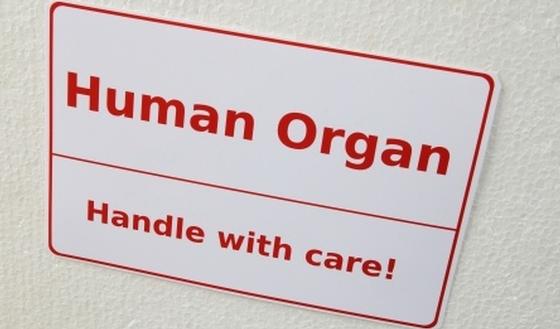 Voor het eerst meer orgaandonoren dan niet-donoren | gezondheid.be