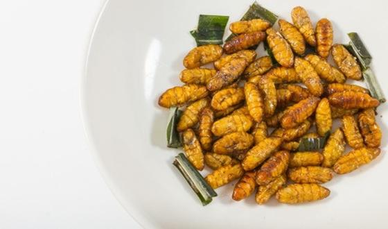 Waarop letten bij het eten van insecten? | gezondheid.be