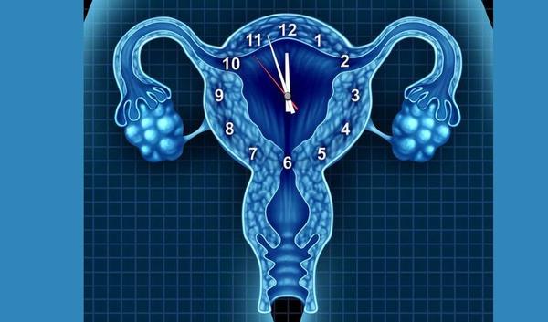 Eicellen invriezen | gezondheid.be