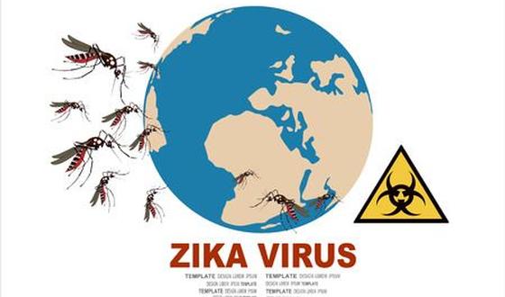 Kan het zikavirus zich binnen Europa verspreiden? | gezondheid.be