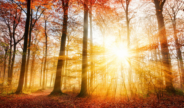 Zonverslaving zit deels in je genen | gezondheid.be