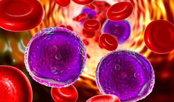 Doorbraak in celonderzoek bij leukemie werpt nieuw licht op behandeling ...