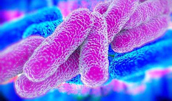 Dit zijn de 13 meest voorkomende bacteriële infecties | gezondheid.be