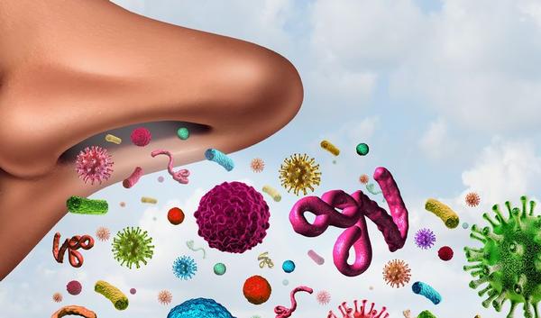Gezonde neus bevat vijf bacterietypes | gezondheid.be