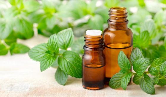 Is munt gezond en waarvoor kan je het gebruiken? | gezondheid.be