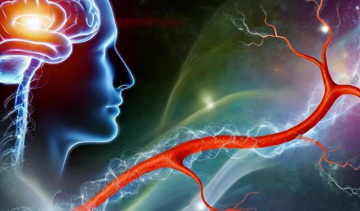 Stimulatie nervus vagus: welke oefeningen kan je doen? | gezondheid.be Stimulatie nervus vagus: welke oefeningen kan je doen? | gezondheid.be