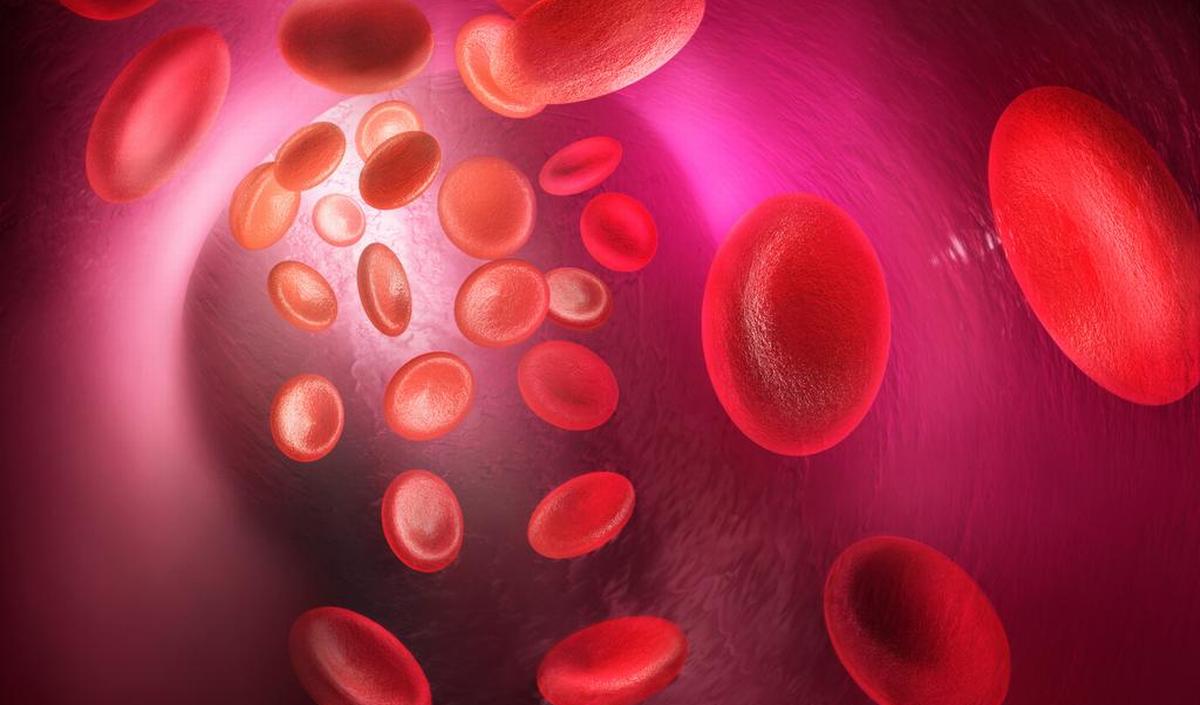 Myelodysplastisch syndroom (MDS) | gezondheid.be