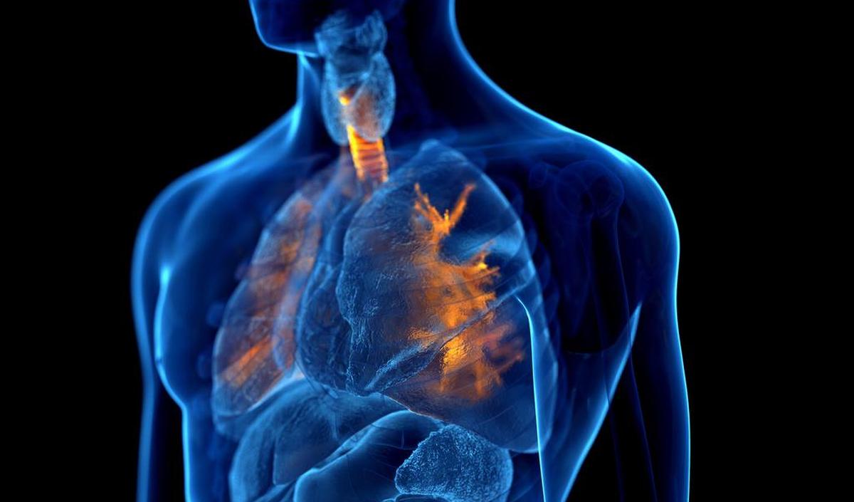 COPD of 'rokerslong': chronische en langzaam progressieve longaandoening | gezondheid.be