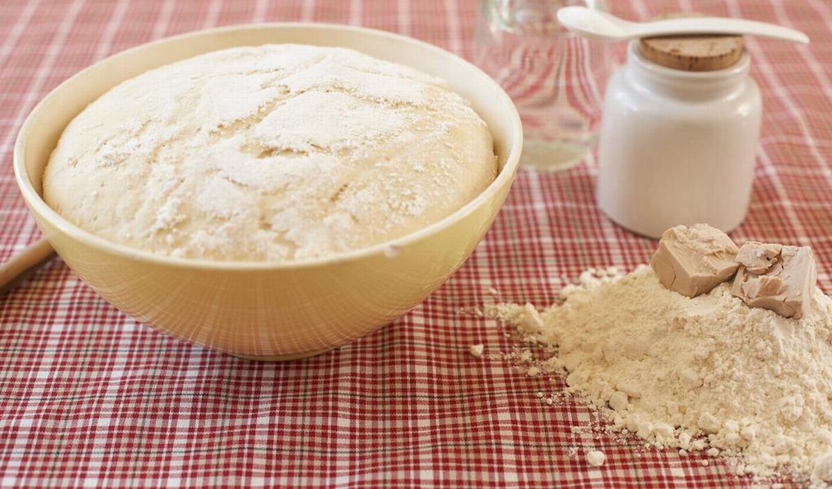 Verse gist, instant gist en droge gist: wat is het verschil ...