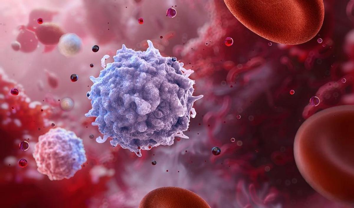 NK-cellen: natuurlijke killercellen tegen kanker | gezondheid.be