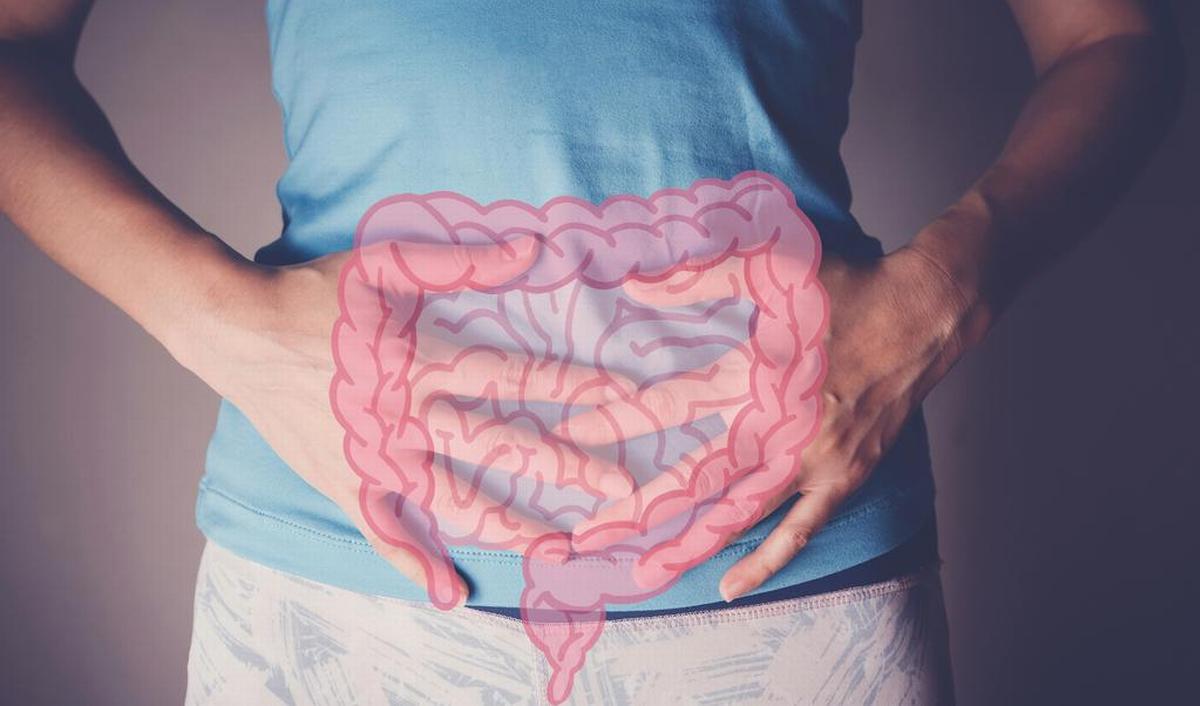 Lekkende darm syndroom: symptomen en hoe herstellen? | gezondheid.be