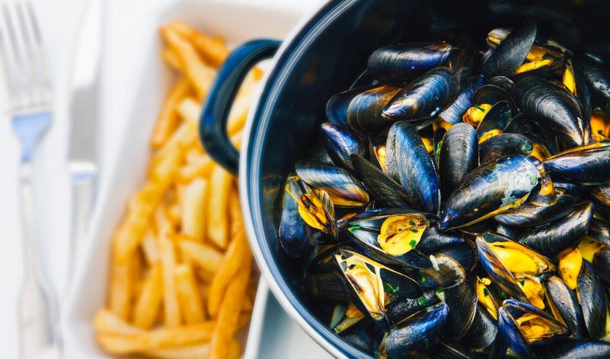 Hoe kan je mosselen best bewaren? | gezondheid.be