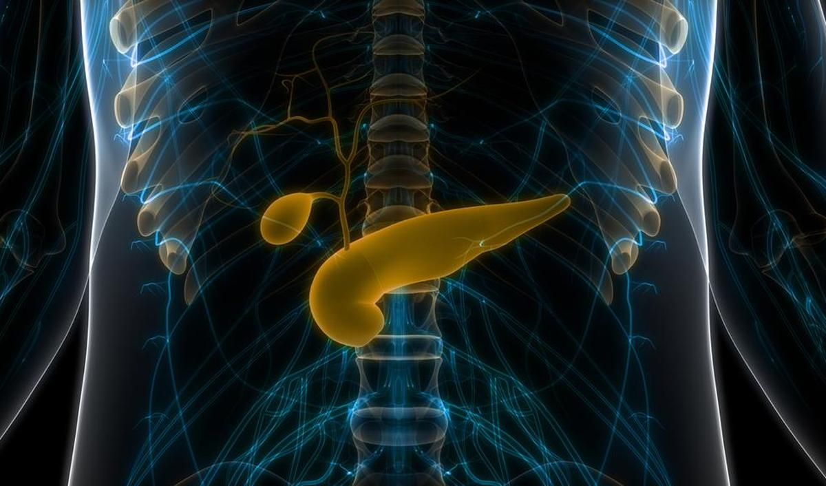 Doorbraak in behandeling pancreaskanker: viro-immunotherapie ...
