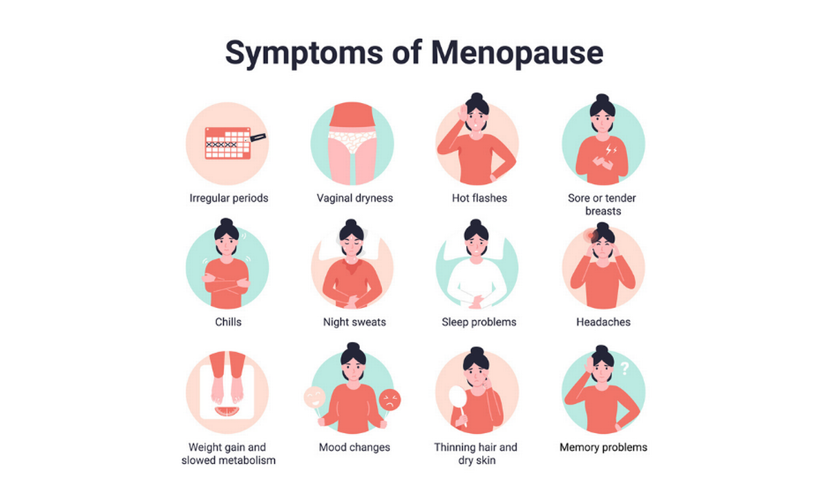 De menopauze in het kort uitgelegd: wat je zeker moet weten | gezondheid.be