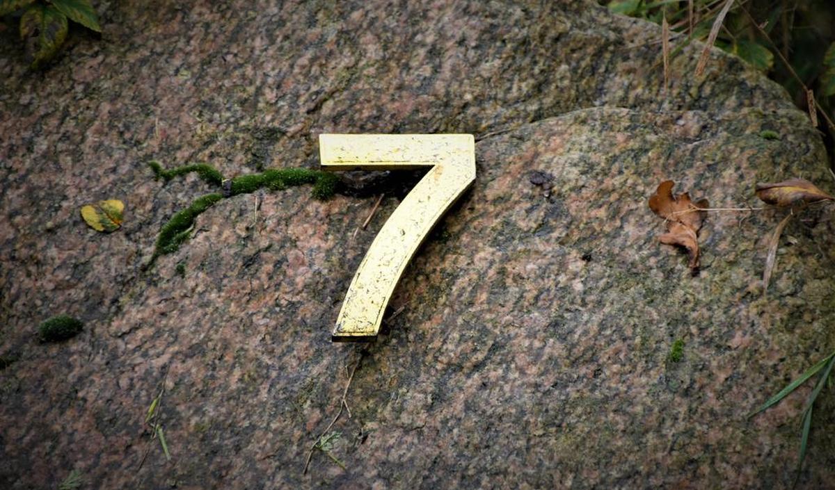 7 weken zwanger | gezondheid.be