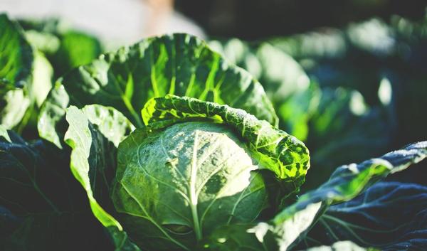 Veroorzaken kolen winderigheid of krampen? | gezondheid.be