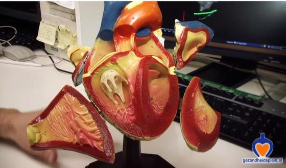 Video: Ablatie - Wat kun je verwachten? | gezondheid.be